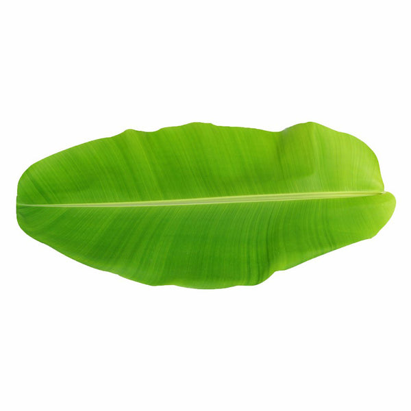 Platters - Farm House Tropez – Life is Beautiful